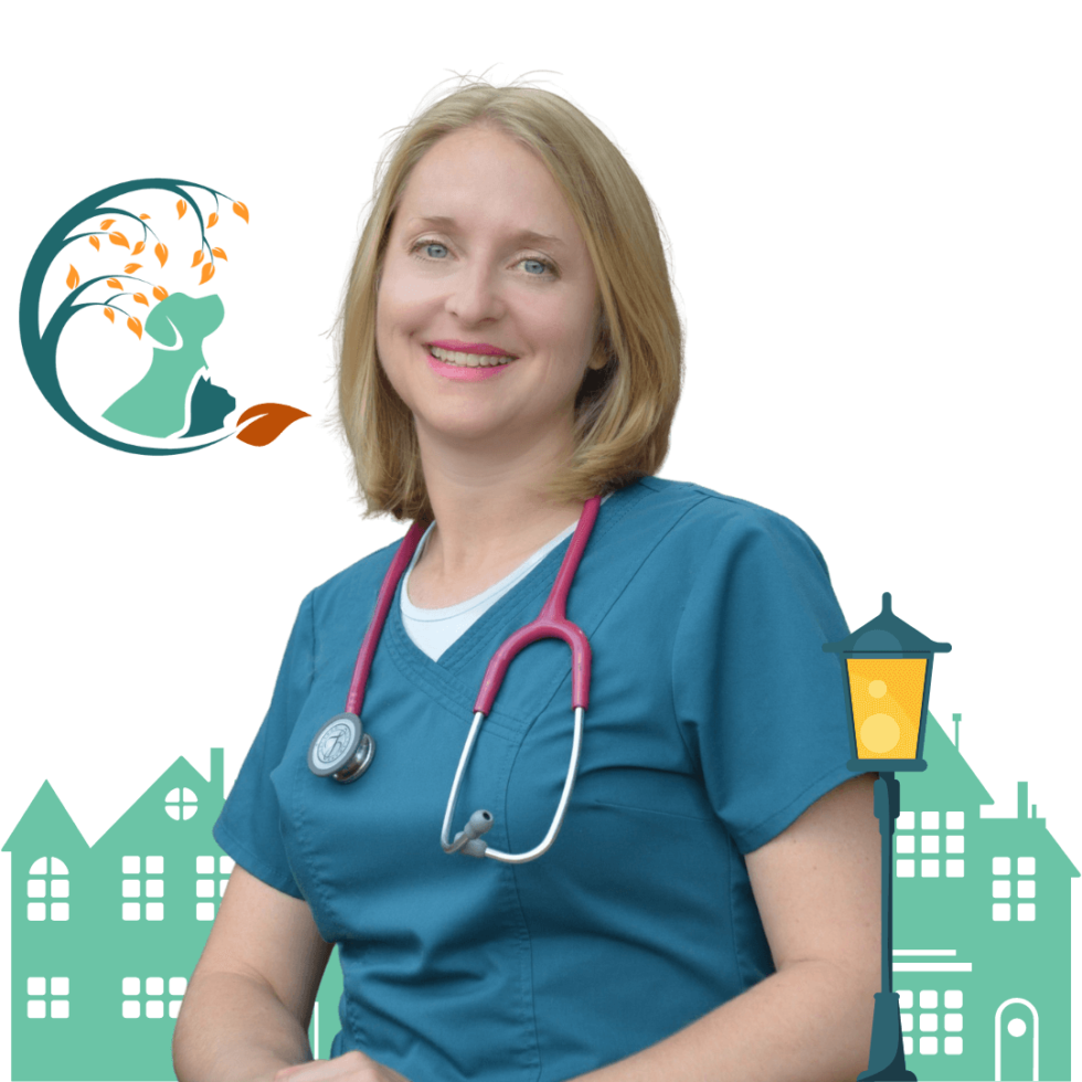 About Sanford Oaks Animal Clinic | Vet In Arlington, TX 76012